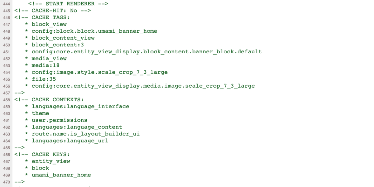 Debugging your render cacheable metadata in Drupal